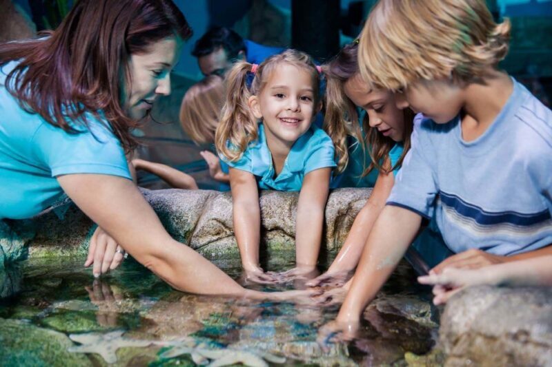 Manchester: SEA LIFE Entrance Ticket - The Sum Up: Is SEA LIFE Manchester Worth It?