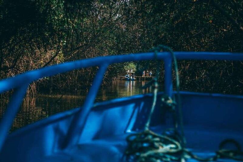 Mancora: Puerto Pizarro - Tour Mangrove Mysteries - An In-Depth Look at the Tour Experience