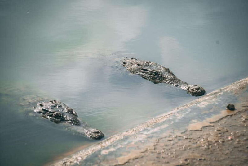 Mancora: Puerto Pizarro - Tour Mangrove Mysteries - Who Will Love This Tour?