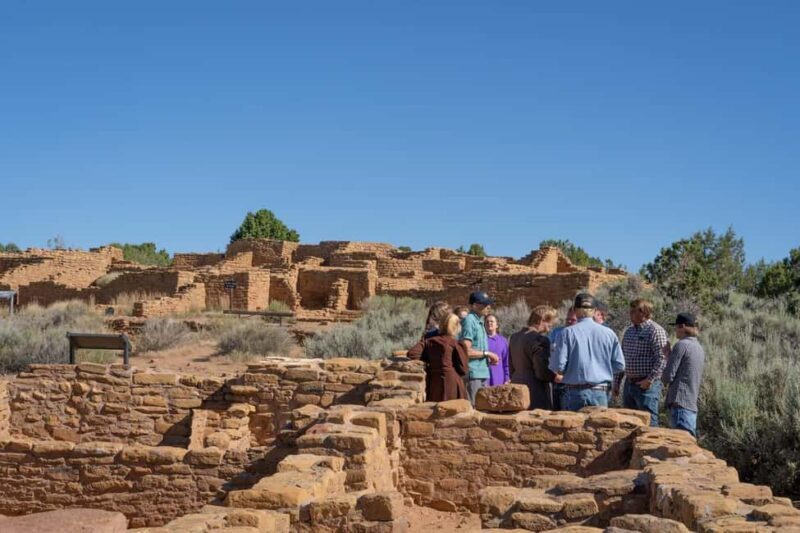 Mancos: Mesa Verde National Park Half-Day Tour - The Experience and Duration