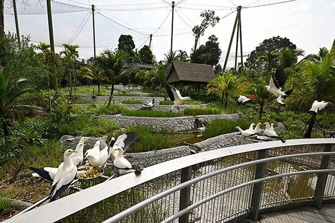 Mandai Bird Park Singapore Admission Ticket - FAQs