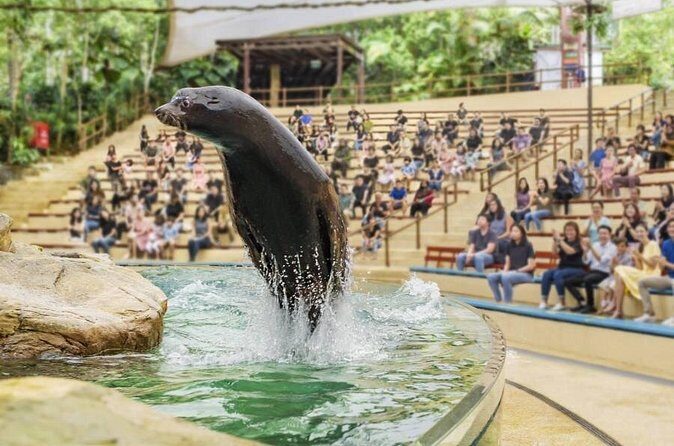 Mandai wildlife Singapore with Tram Ride ticket only - Final Word