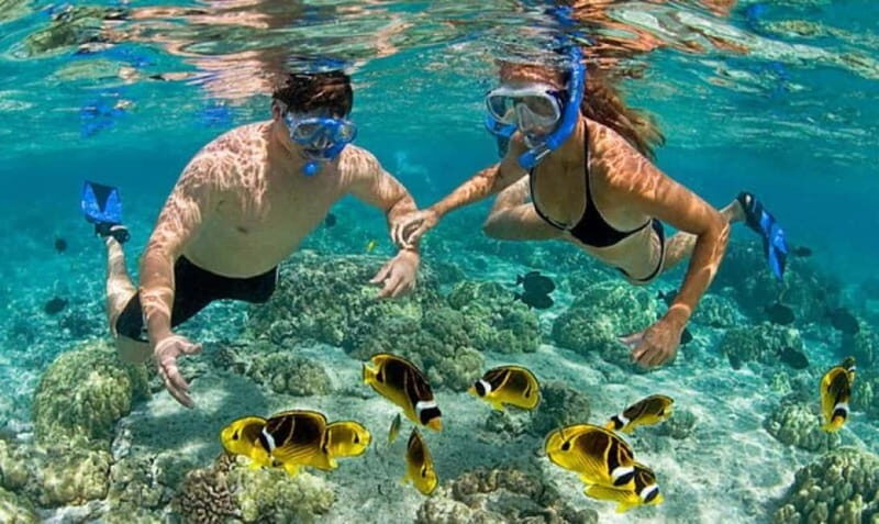 Mandelieu: Full day boat jet-ski paddle underwtaer scooter.. - Key Points
