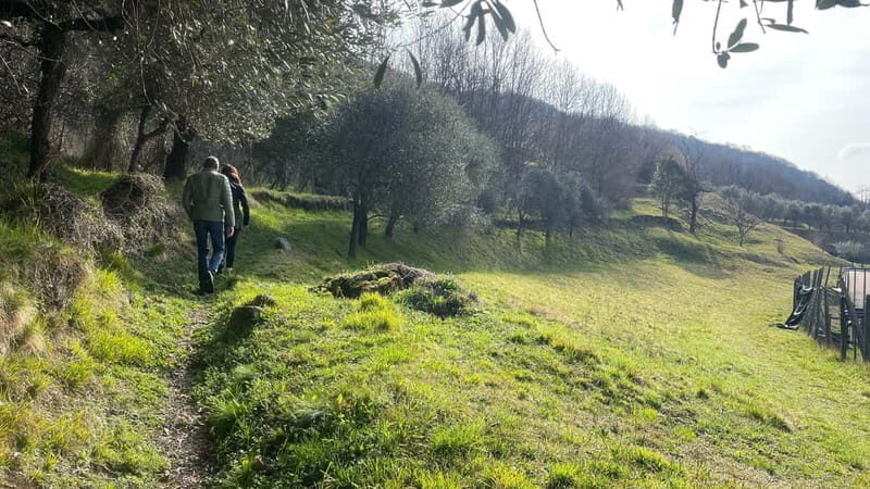 Mandello del Lario: Hike across hills and quaint hamlets - Key Points