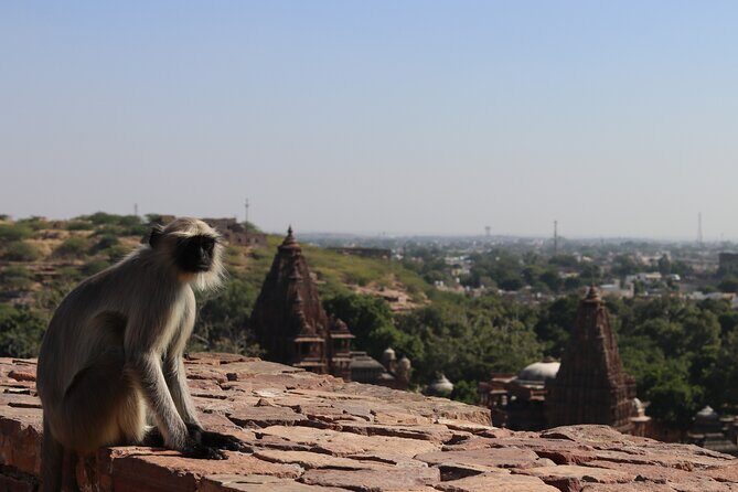 Mandore Garden Walking Tour - Exploring Mandore Gardens: What to Expect
