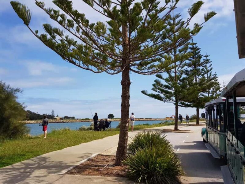 Mandurah: Big Toot 30 mins scenic tour - The Experience and Itinerary