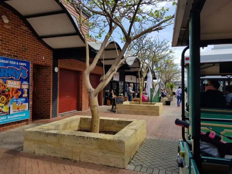Mandurah: Big Toot 30 mins scenic tour - The Atmosphere and Comfort