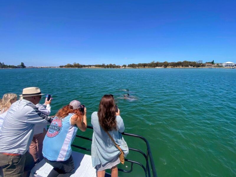 Mandurah: Sightseeing Dolphin Cruise with Tour Guide - An Overview of the Experience