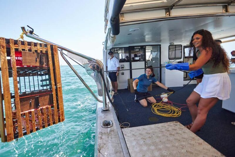 Mandurah: Wild Seafood Experience - Concluding Thoughts