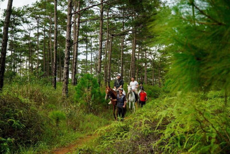 Mang Den: Horse Riding Tour with Drinks & Pickup - FAQ