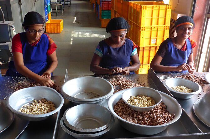 Mangaluru Shore Excursion - Full Day Private Mangaluru Guided City Tour - An Enthusiastic Overview of What this Tour Offers