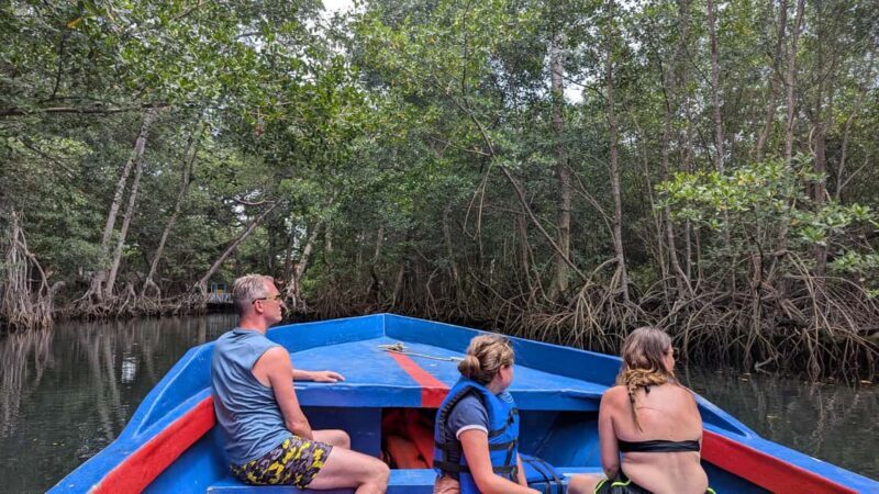 Mangove boat tour - Rio San Juan Guided 4-6 hour tour - An In-Depth Look at the Gri Gri Lagoon Eco-Adventure