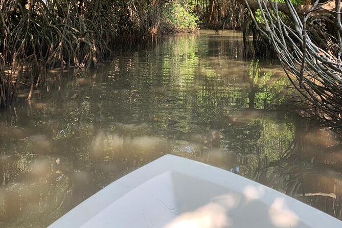 Mangrove Adventure - Final Thoughts: Is It Worth It?
