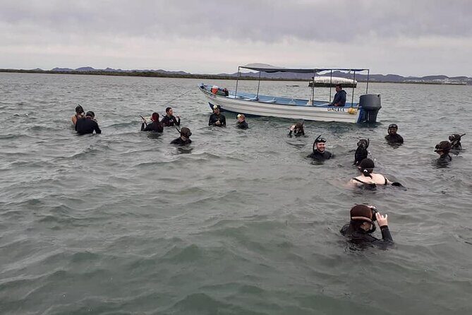 Mangrove Adventure with Snorkeling and Shellfish Tasting - Final Thoughts