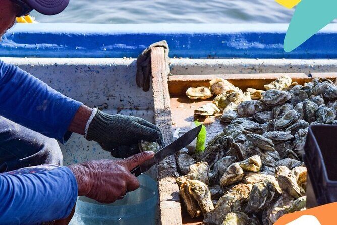 Mangrove Adventure with Snorkeling and Shellfish Tasting - FAQ