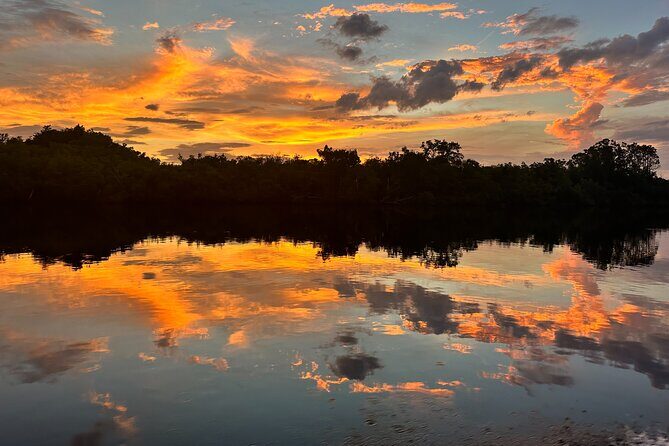 Mangrove and Gulf Excursion Tour - Review of the Mangrove and Gulf Excursion Tour in Naples
