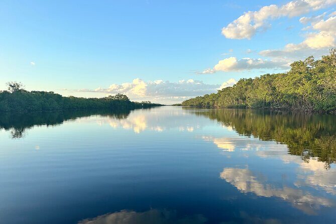 Mangrove and Gulf Excursion Tour - Key Points