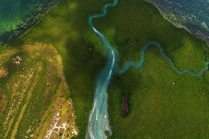 Mangrove and Lagoon Speed Boat Tour - An In-Depth Look at the Tour Itinerary