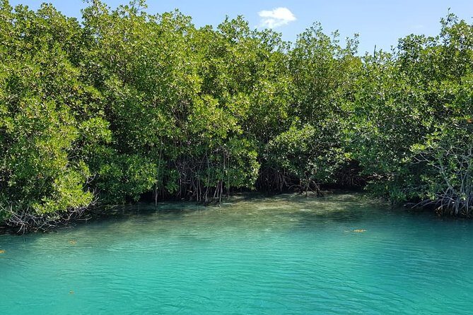Mangrove and Lagoon Speed Boat Tour - Frequently Asked Questions