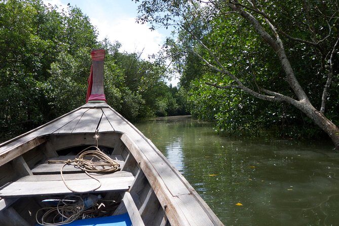 Mangrove Boat Tour in Krabi - Who Will Enjoy This Tour?