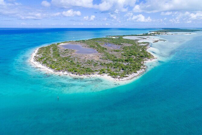 Mangrove Cay and Iguana Island Tours - First Stop: Little Water Cay (Iguana Island)
