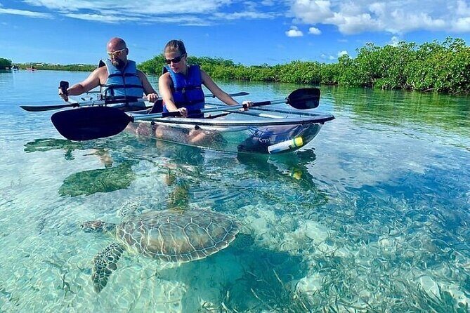 Mangrove Cay Tour - An In-Depth Look at the Mangrove Cay Tour