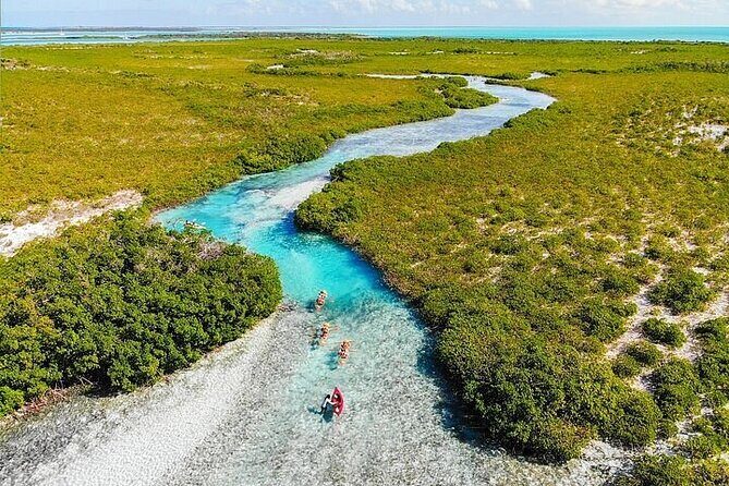 Mangrove Cay Tour - FAQ: Your Questions Answered