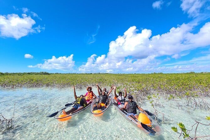 Mangrove Clear Kayak Tour - Price and Value: Is It Worth It?