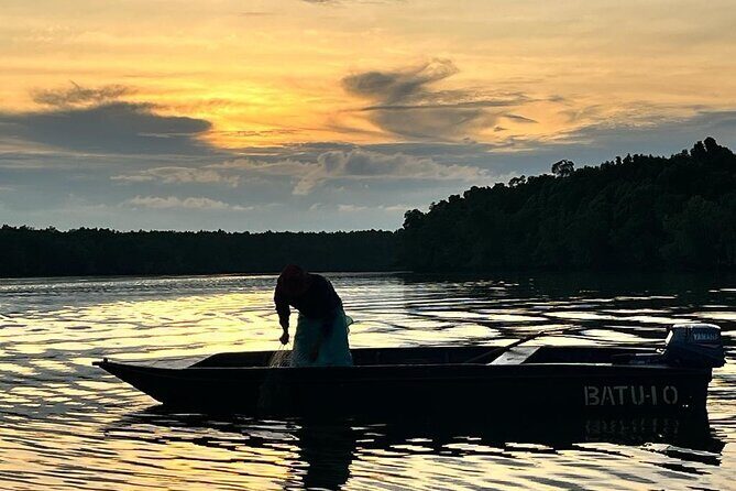 Mangrove Cruise with Fireflies Tour Including Dinner from Sandakan - An In-Depth Look at the Tour Experience