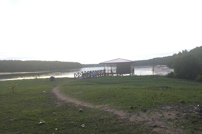 Mangrove Cruise with Fireflies Tour Including Dinner from Sandakan - Final Verdict