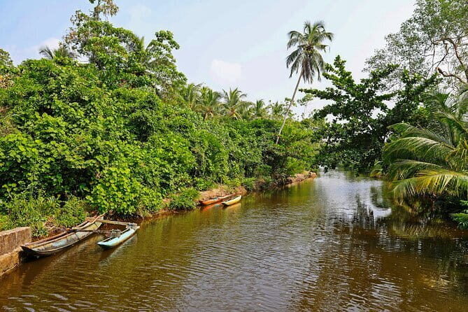 Mangrove Forest Boat Tour in Kalpitiya - Who Should Consider This Tour?