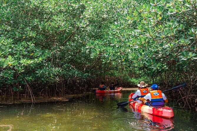 Mangrove Forest by Boat, Kayaking, Stand Up Paddle at Lembongan - Final Thoughts: Is This Tour Worth It?