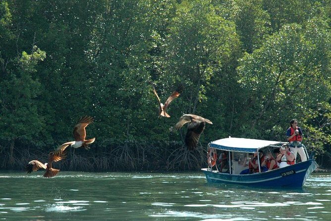 Mangrove Forest Tour In Langkawi - Why This Tour Adds Value