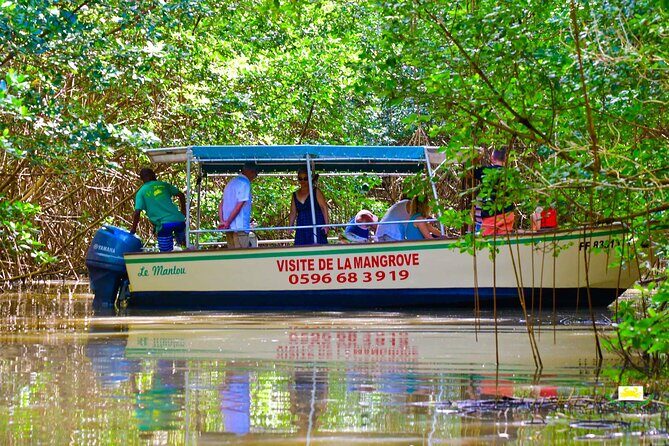 Mangrove Guided Tour - Introduction: Why Consider the Mangrove Guided Tour?