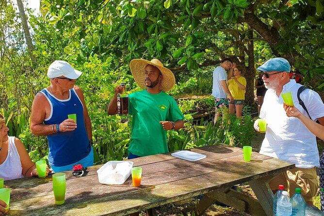 Mangrove Guided Tour - The Sum Up: Who Will Love This Tour?