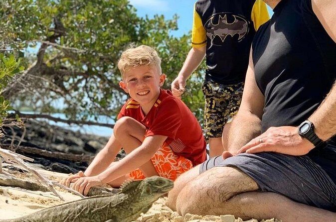 Mangrove & iguana Tour - An In-Depth Look at the Mangrove & Iguana Tour