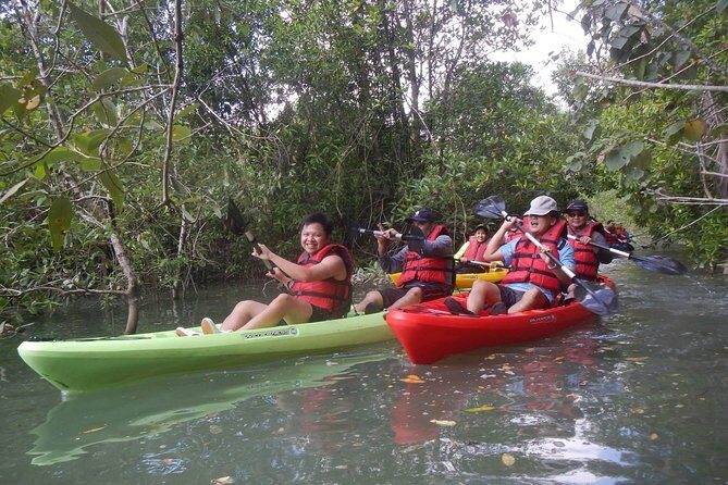 Mangrove Kayaking Adventure in Singapore - An In-Depth Look at the Mangrove Kayaking Adventure