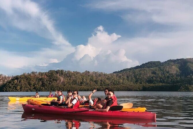 Mangrove Kayaking Experience in Borneo - The Cultural and Environmental Highlights