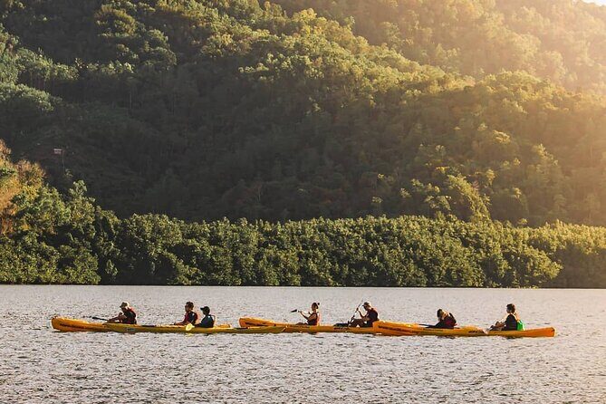 Mangrove Kayaking Experience in Borneo - Detailed Itinerary Breakdown
