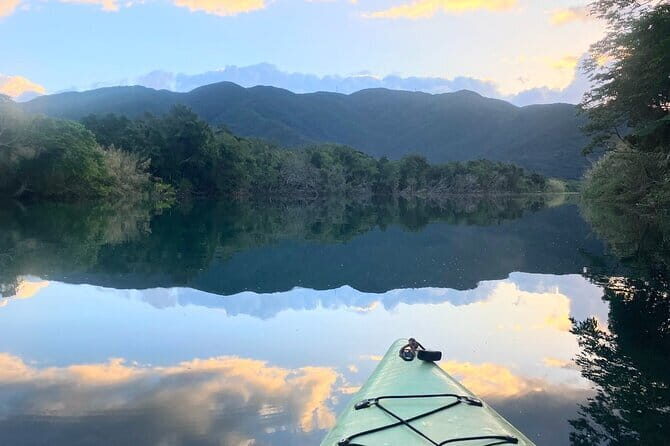 Mangrove Kayaking in Amami Oshima Island Tour - Authentic Experiences and Genuine Reviews