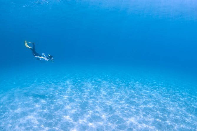 Mangrove Kayaking in Amami Oshima Island Tour - Who Is This Tour Best For?