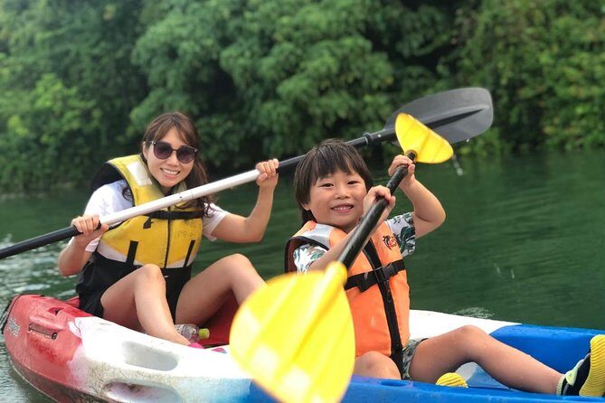 Mangrove kayaking to enjoy nature in Okinawa - Key Points