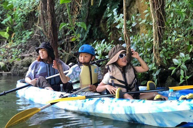 Mangrove kayaking to enjoy nature in Okinawa - Who Should Consider This Tour?