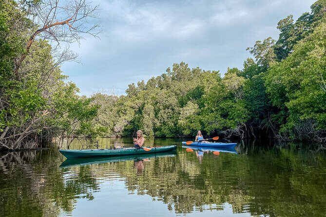 Mangrove Kayaking Tour - Who Should Consider This Tour?