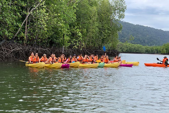 Mangrove Kayaking Tour from Langkawi - Key Points