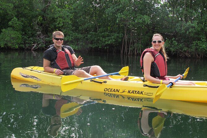 Mangrove Lagoon Kayak Rental in St Thomas - What to Expect from Your Kayak Day in Mangrove Lagoon