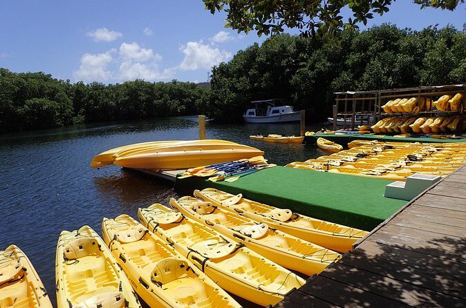 Mangrove Lagoon Kayak Rental in St Thomas - The Guides and Their Role