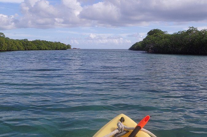Mangrove Lagoon Kayak Rental in St Thomas - Frequently Asked Questions