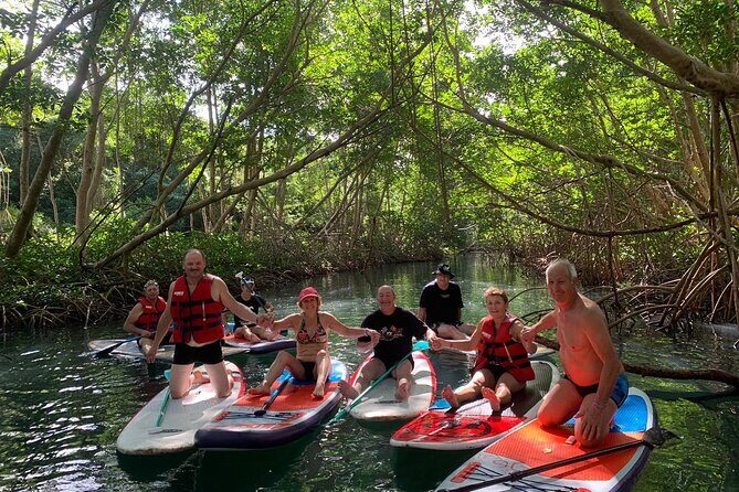 Mangrove Paddle Ride Sainte Anne Guadeloupe - A Natural Escape: Mangrove Paddle Ride Sainte Anne Guadeloupe