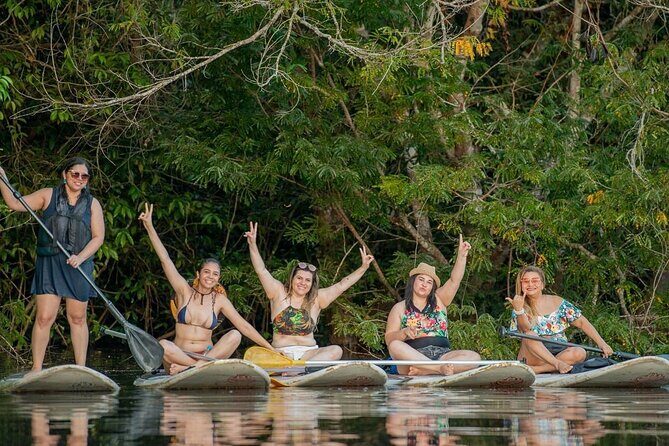 Mangrove Paddle Ride Sainte Anne Guadeloupe - Who Will Love This Tour?
